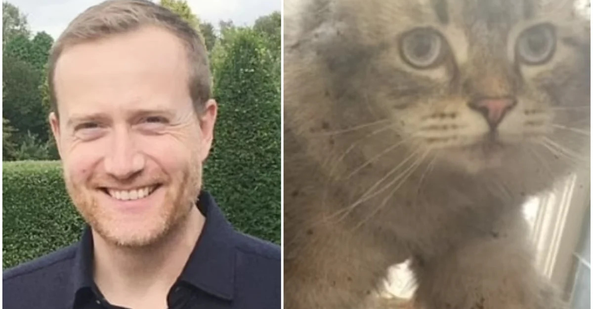 Cet homme n'aurait jamais dû laisser son ordinateur sans surveillance ...