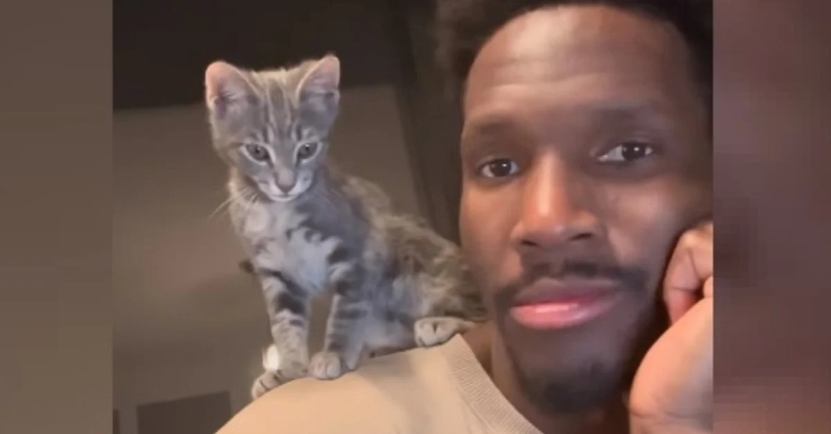 Un basketteur professionnel adopte un chaton né dans la salle de son club